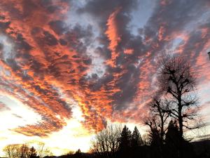 Beyond Digital – an educator's Cyber Sketches